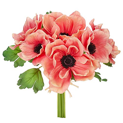 BricksnBlooms's Amazon Page