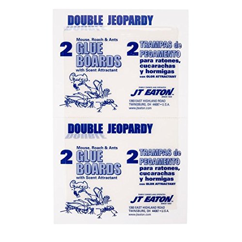Amazon.com : Eaton Double Jeopardy Mouse Glue Board : Patio, Lawn & Garden