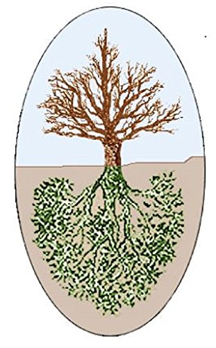 Ashvattha is Shri Krishna: Among all the trees I am the Asvattha eBook ...