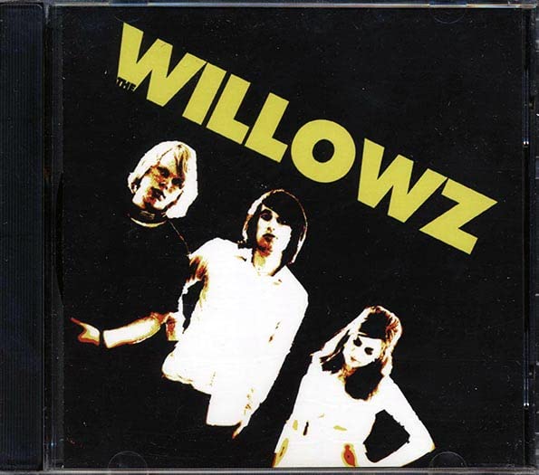Willowz: Willowz: Amazon.in: Music}