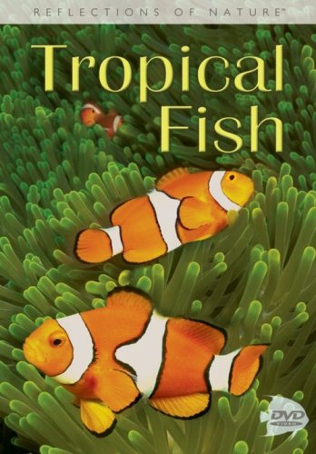Amazon.com: Tropical Fish : Movies & TV