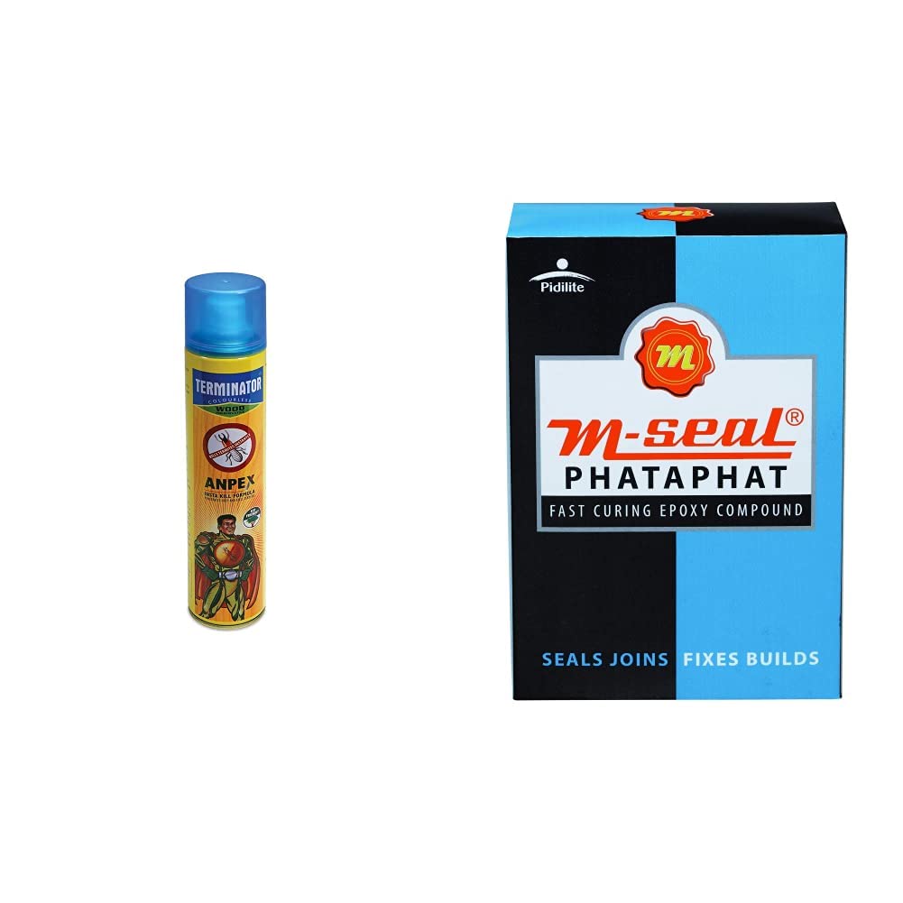 Buy Pidilite Terminator Eco-Friendly Termite Killer Spray Termite ...