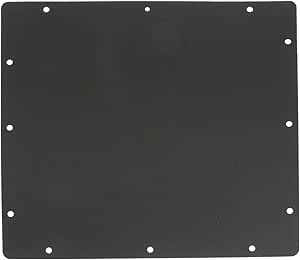 Amazon.com: 14-24 For RAM PROMASTER 1500 2500 3500 REAR DOOR PANEL LEFT ...