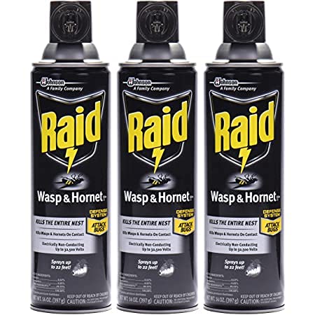 Amazon.com: Raid Wasp & Hornet Killer, 14Oz Aerosol, 6 CT : Patio, Lawn ...