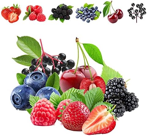 Amazon.com : 1100pcs Mixed Fruit Seeds Berry Seeds for Planting 200pcs ...
