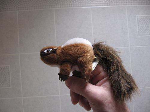 Amazon.com: Folkmanis Mini Chipmunk Finger Puppet Tan, White, Brown, 1 ...