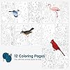 Amazon.com: Cupkin Bird Sticker Book Activity for Kids, Toddler ...