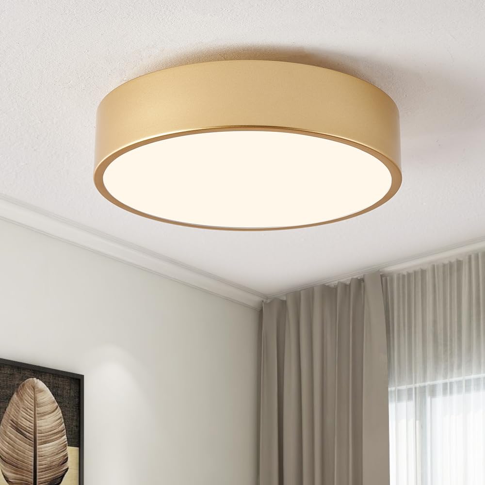 Mivenda Modern Flush Mount Ceiling Light, 2-Lights Gold Ceiling Light ...