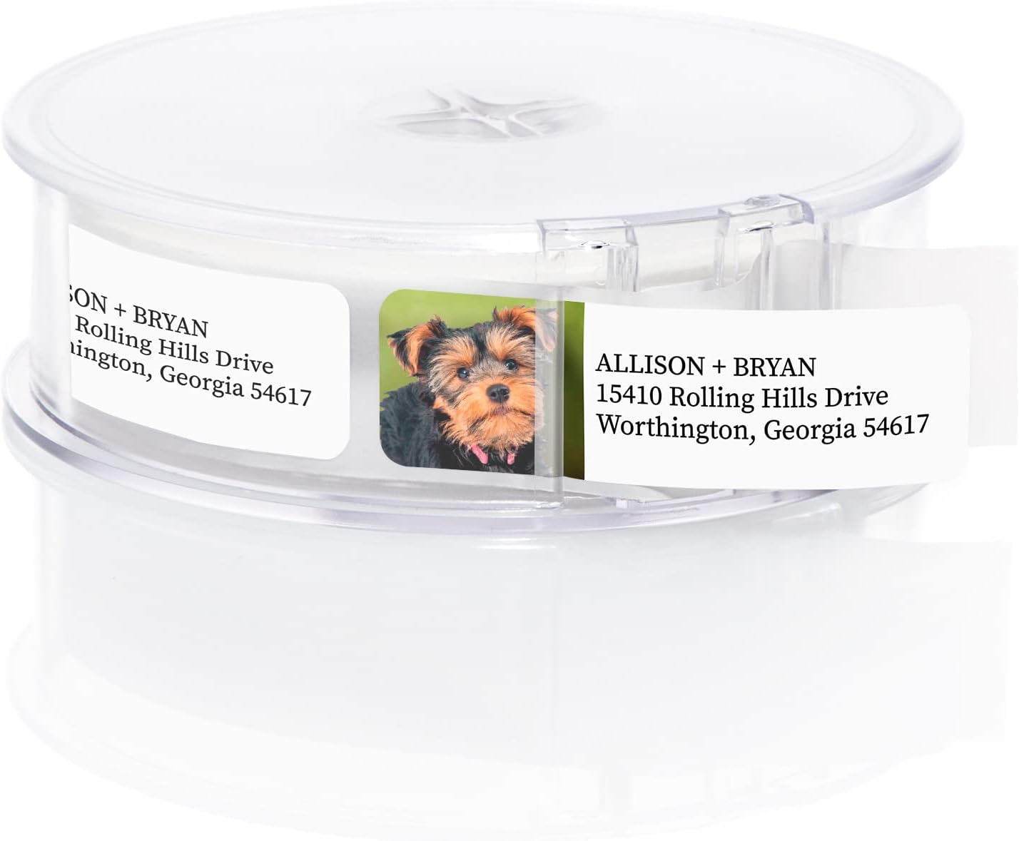 Amazon.com : Assorted Dogs Rolled Address Labels / 500 Personalized ...