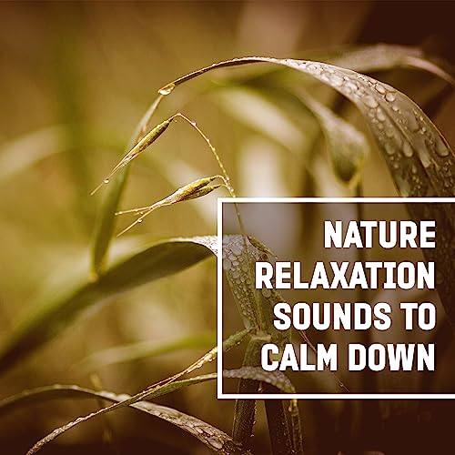 Play Nature Relaxation Sounds to Calm Down – Soft New Age Music, Water ...