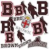 Amazon.com: Desert Cactus Brown University Sticker Brown Bears Vinyl ...