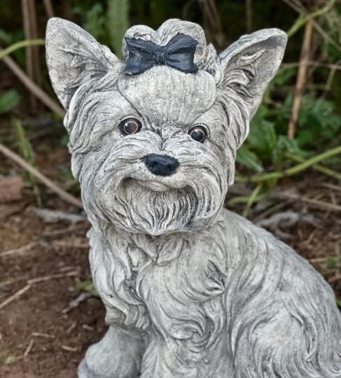 Amazon.com : Yorkshire Terrier Statue Concrete Yorkie Figurine Black ...