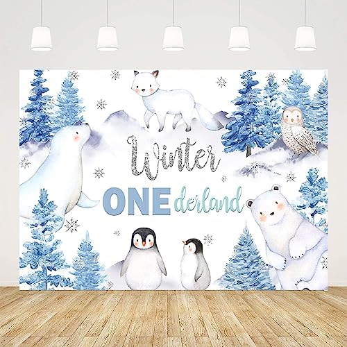 Amazon.com : Ticuenicoa Winter Onederland Backdrop for Boys 7x5ft First ...