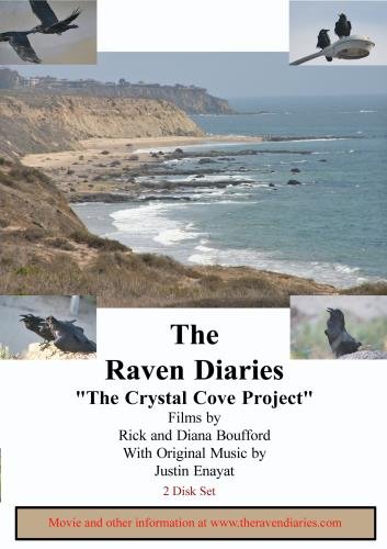 Amazon.com: The Raven Diaries Part 4 - Crystal Cove Project (2 Disk Set ...