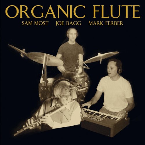 Play Organic Flute by Sam Most - Joe Bagg - Mark Ferber on Amazon Music