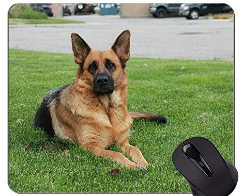 APSRA German Shepherd Grass Sitting Dog Mouse Pads,German Shepherd ...