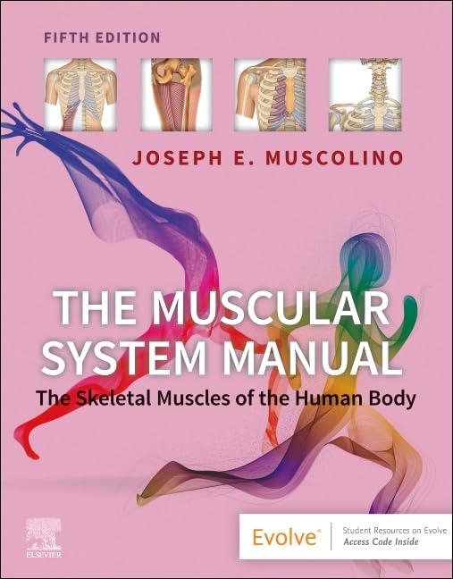 The Muscular System Manual: The Skeletal Muscles of the Human Body ...