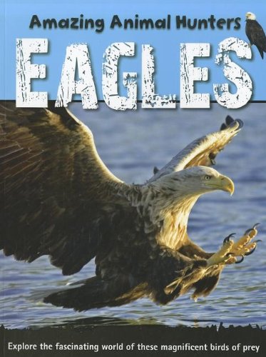 Eagles (Amazing Animal Hunters): Morgan, Philip: 9781926722498: Amazon ...