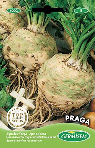 Apionabo Mercadona: descubre todo sobre esta raíz de apio en tu tienda ...