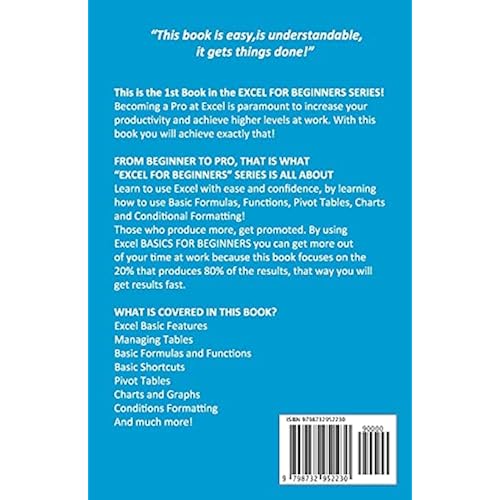 Excel Basics For Beginners Learn Excel And Use Basic Formulas Functions Charts