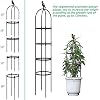 Garden Trellis for Climbing Plants, Rustproof Metal Pipe 6ft high ...
