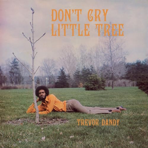 Amazon.com: Don't Cry Little Tree: CDs & Vinyl