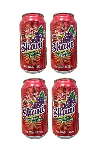 Shani Fruit Flavour Drink (Pack of 4 Cans) 330ml : Amazon.in: Grocery ...