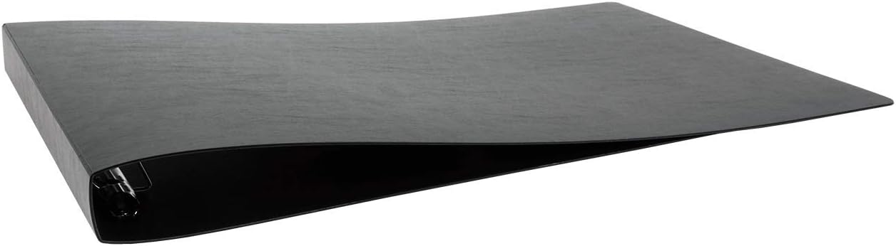 Amazon.com : Ruby Paulina 13x19 Binder Poly Panel Featuring a 1" Angle ...