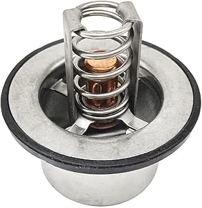 Amazon.com: Thermostat 4318947 4973373 For Cummins ISX QSX Engine 6 Cyl ...