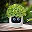Amazon.com : Vibezy Interactive Plant Pot – Smart Planter, AI Pet ...