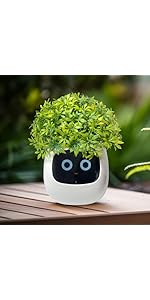 Amazon.com : Vibezy Interactive Plant Pot – Smart Planter, AI Pet ...