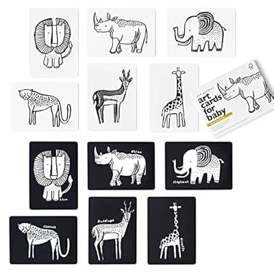 Educational Animal Flash Cards for Visual Nepal | Ubuy