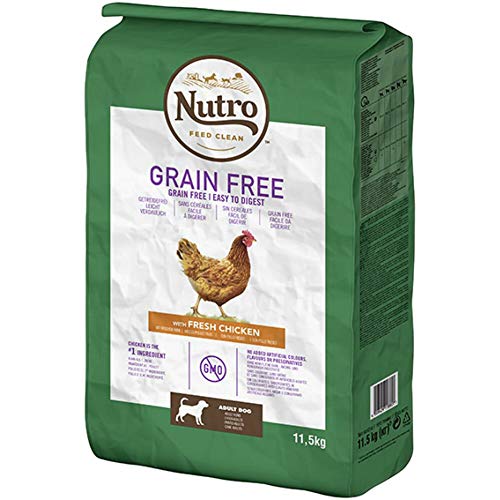 Nutro Hundefutter – Die 16 besten Produkte im Vergleich - HundeINFOPortal