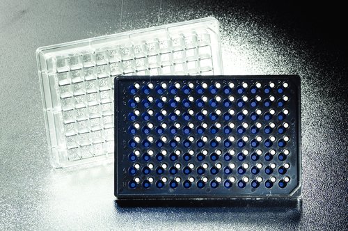 Corning 351156 FluoroBlok HTS 24 Well Multiwell Permeable Support ...