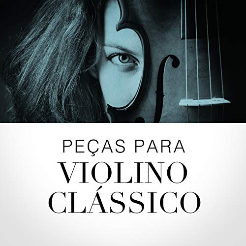 Violin Concerto in E Minor, Op. 64: I. Allegro molto appassionato ...
