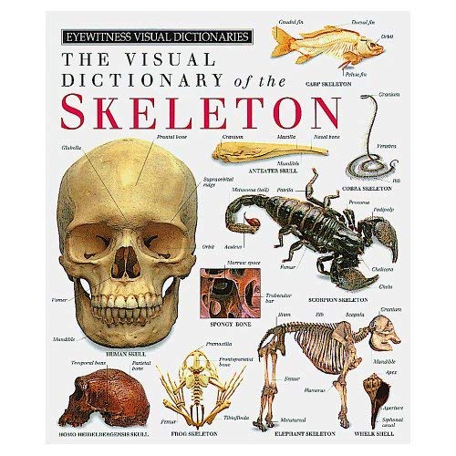 The Visual Dictionary of The Skeleton [Eyewitness Visual Dictionaries ...