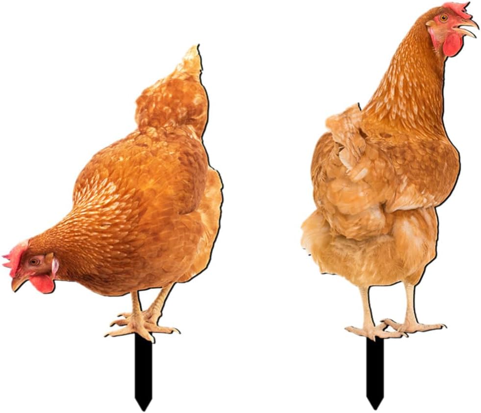 Amazon.com: Happyyami 2Pcs Acrylic Chicken Yard Art - Decorative Hen ...