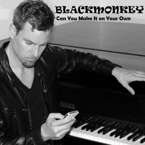 Amazon.com: Can You Make It on Your Own : Blackmonkey: Digital Music