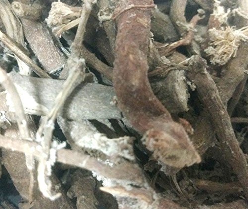 Urancia® Natural Danti Mool Danti Hakum Baliospermum montanum 150g ...