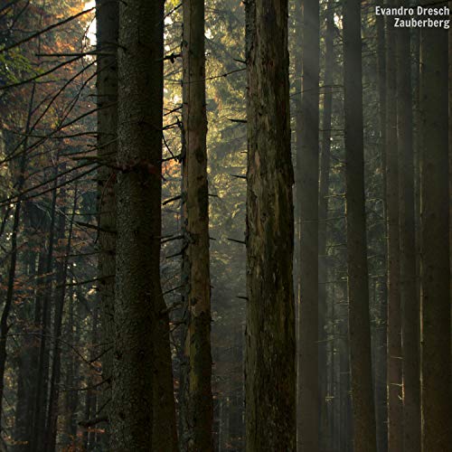 Amazon.com: Zauberberg : Evandro Dresch: Digital Music