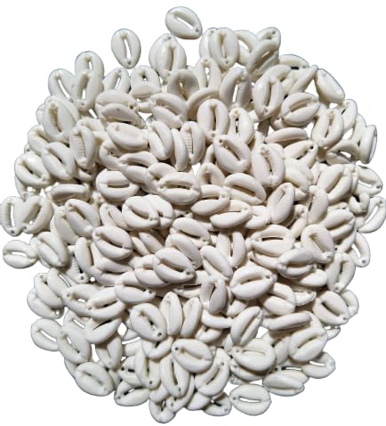 Advika Creations Cowrie,Kodi,Kawdi, Kaudi, Kowdi, Koudi Shell Packet ...