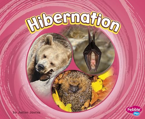 Free Hibernation Lesson Plans for Preschool - Stay At Home Educator