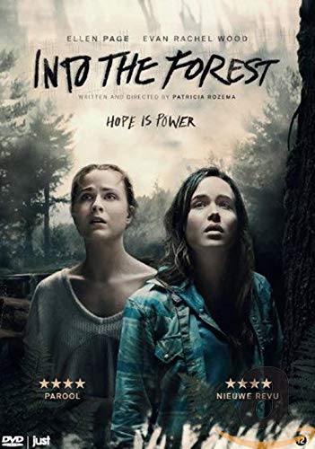9 Best Evan Rachel Wood Movies: The Powerful and Evocative Performances ...