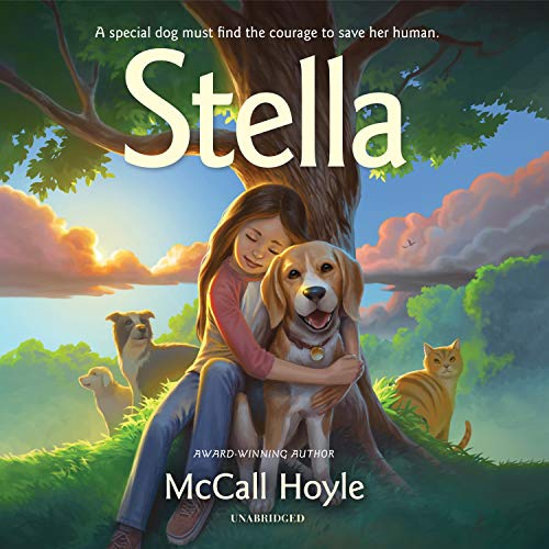 Amazon.com: Stella (Audible Audio Edition): McCall Hoyle, Rachel Jacobs ...