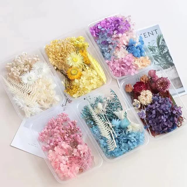 Radiance Store Natural Real Dried Flowers for Art Craft Mixed Soap ...