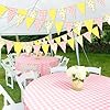 Amazon.com: Lemon Party Decorations - 3PCS Lemon Bunting Banners, Pink ...