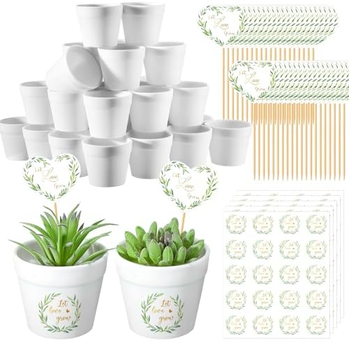 Amazon.com : Layhit 102 Pcs Baby Shower Small Succulent Pots Wedding ...