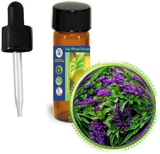 Amazon.com: 3.7ml (1/8oz) Heliotrope (Heliotropium Arborescens ...