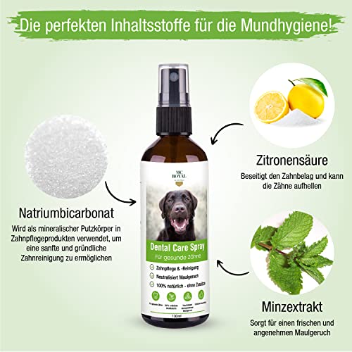 Dental Spray – Die 15 besten Produkte im Vergleich - HundeINFOPortal