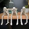 Amazon.com: Kakeii Skull Statues Set Resin Skeleton Shelf Sitters ...